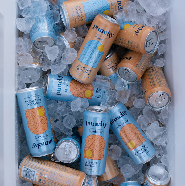 Sophisticated Soft Drinks – Punchy Drinks Limited