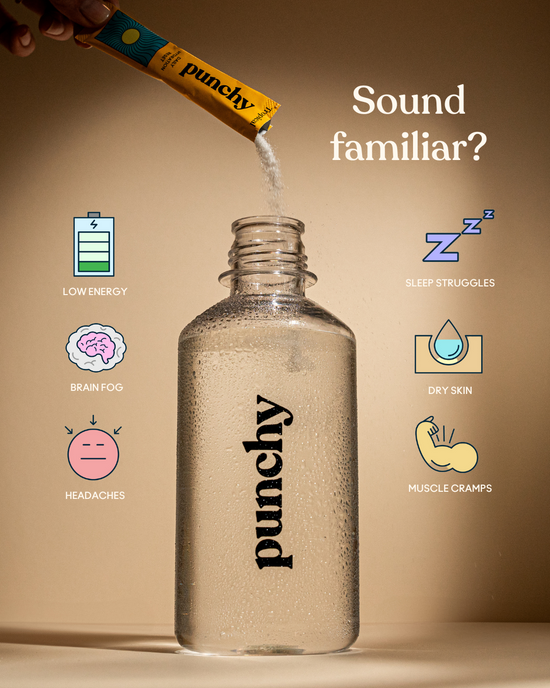 Punchy | Liquid Sunshine – Punchy Drinks Limited