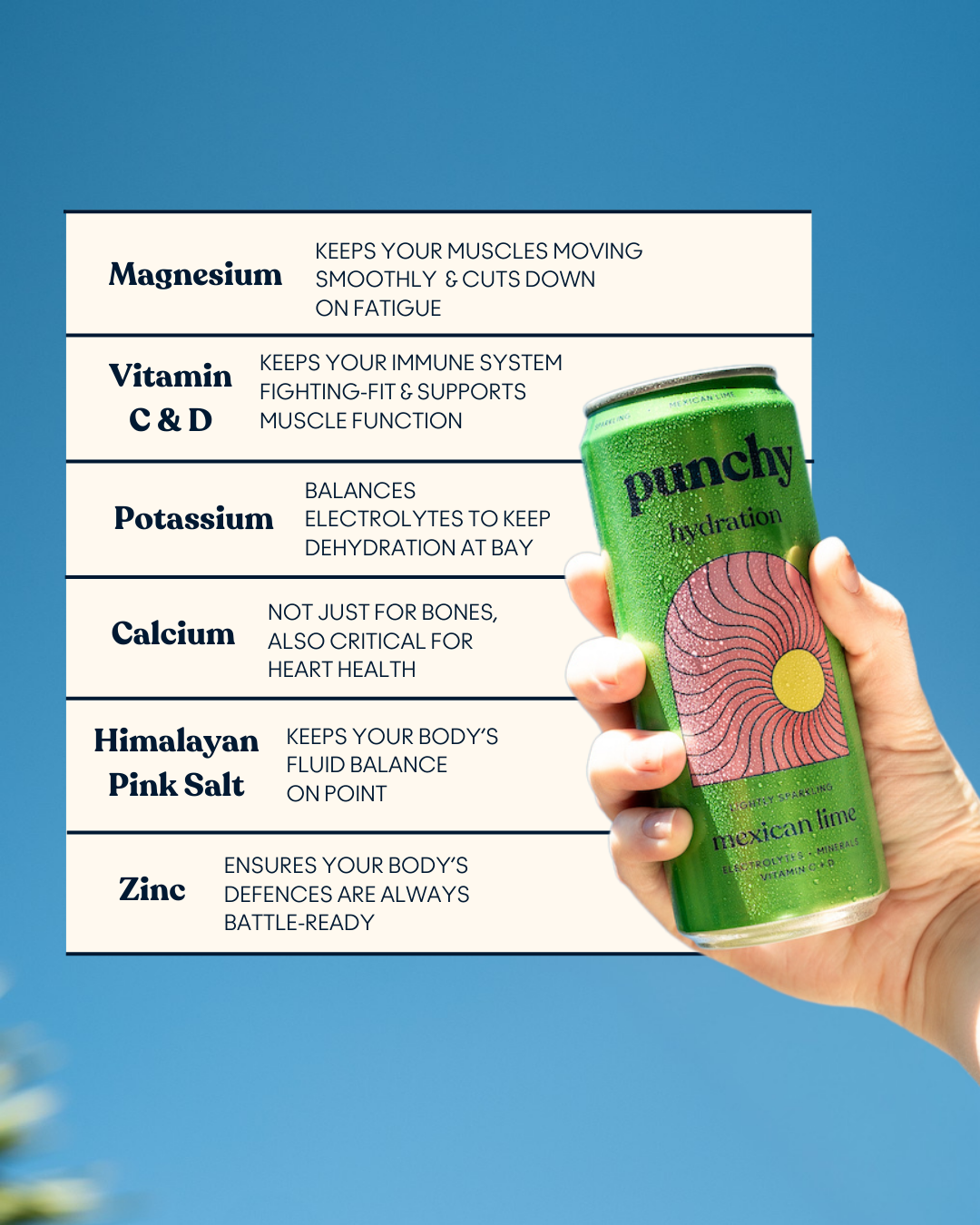 punchy | Hydration Drinks – Punchy Drinks Limited